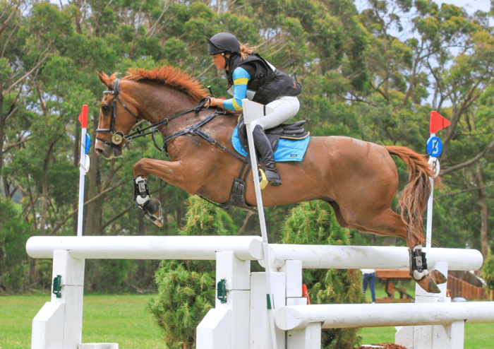 Equilume AUS | Maximise Fertility, Performance and Well-Being