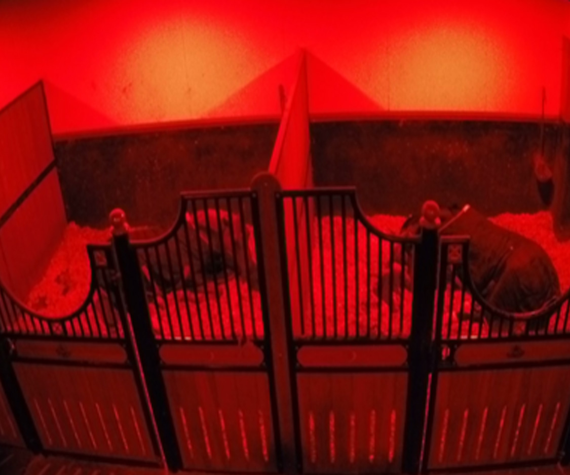 Equilume AUS | Performance & Well-Being - Equilume AUS