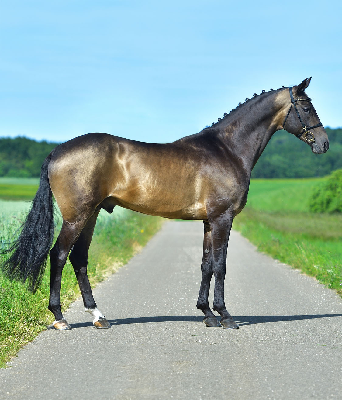 Equilume AUS | Performance & Well-Being - Equilume AUS