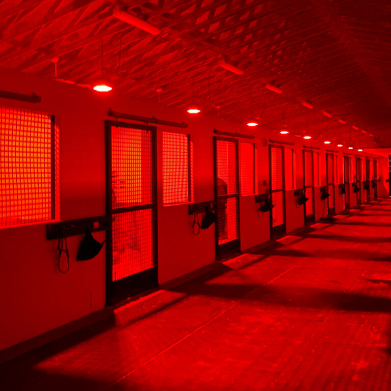 Equilume US | Equilume Stable Light V3 - Equilume US