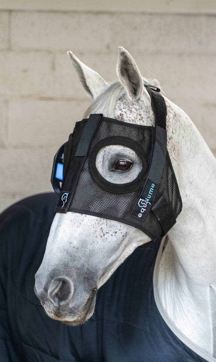 Equilume US | Performance & Well-Being - Equilume US