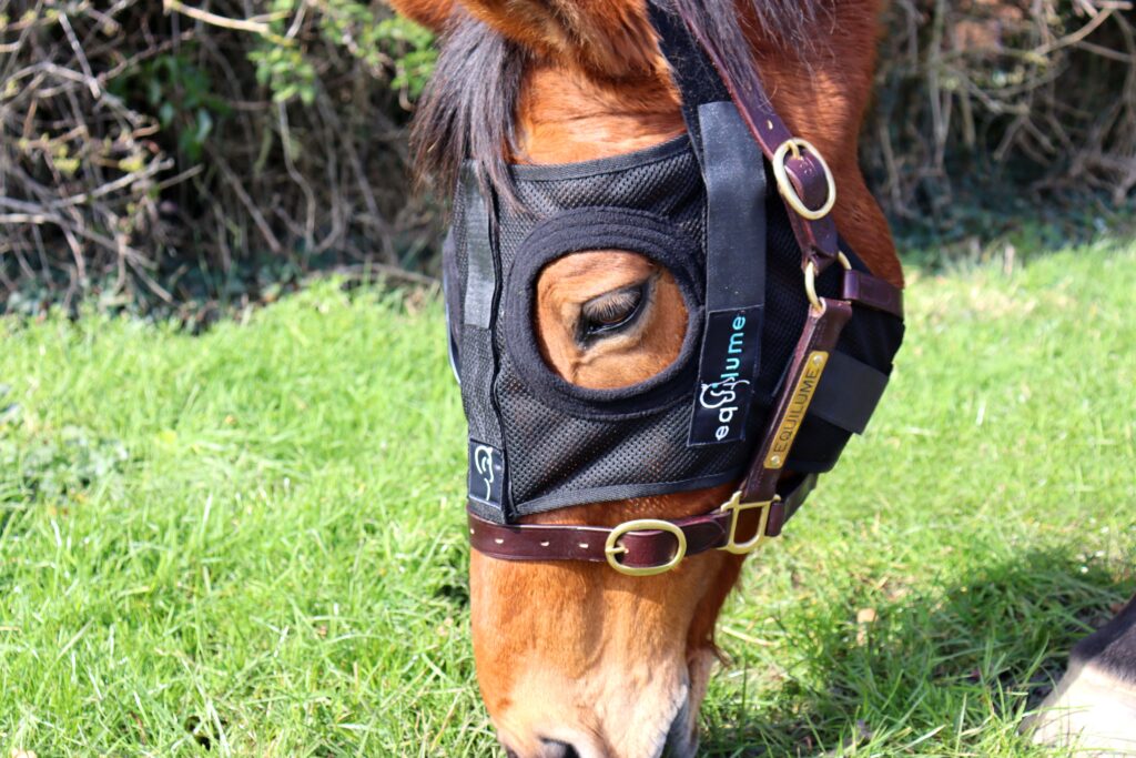 Equilume US | Equilume Mask Headpiece - Equilume US