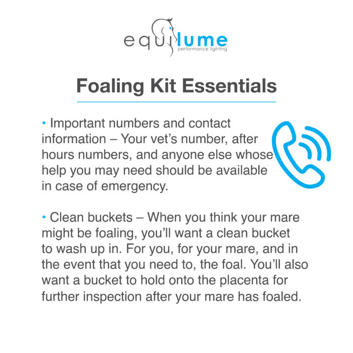 Equilume | Foaling Kit Essentials - Equilume