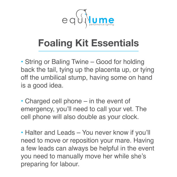 Equilume | Foaling Kit Essentials - Equilume