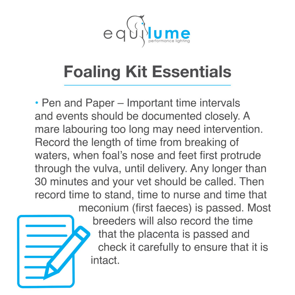 Equilume | Foaling Kit Essentials - Equilume